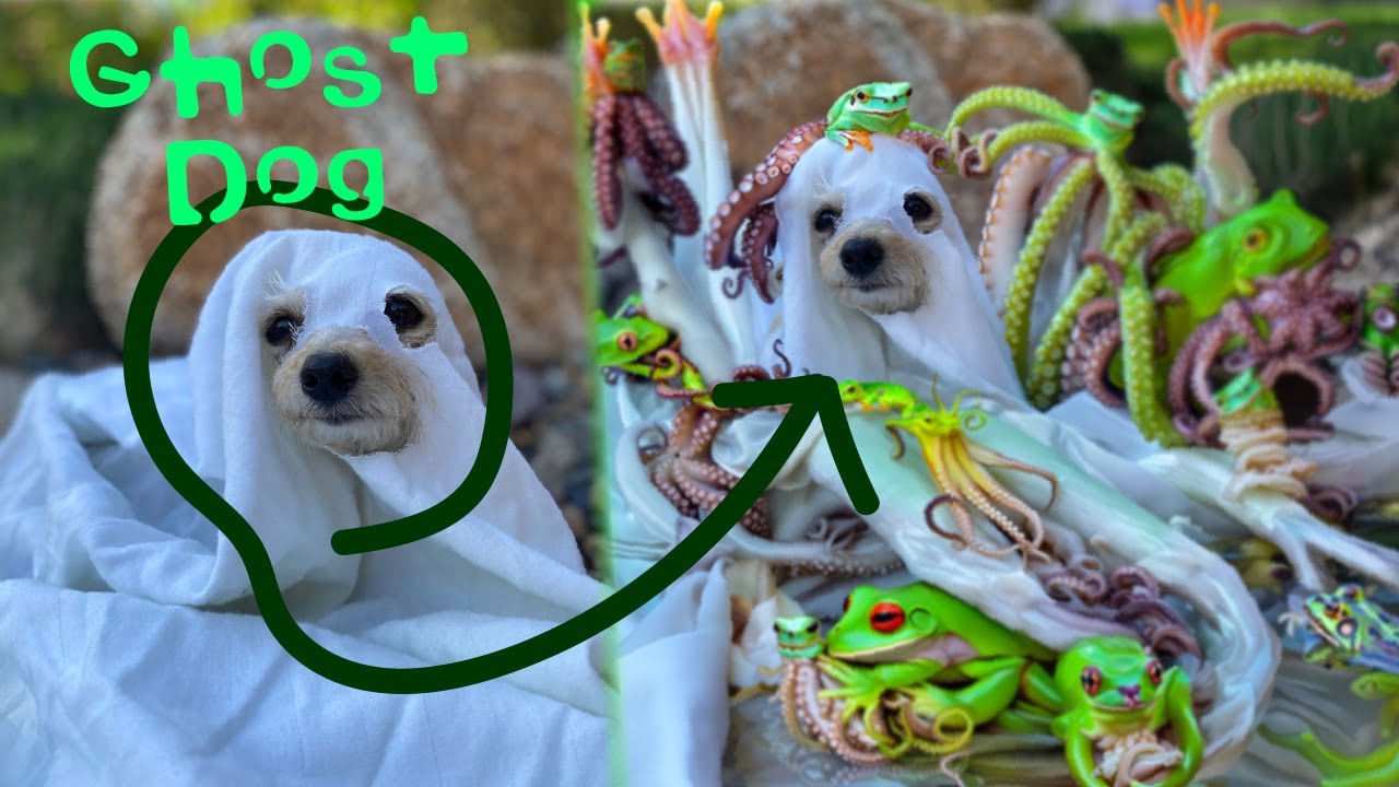 Ghost Dog Trend / How To With Photos - YouTube