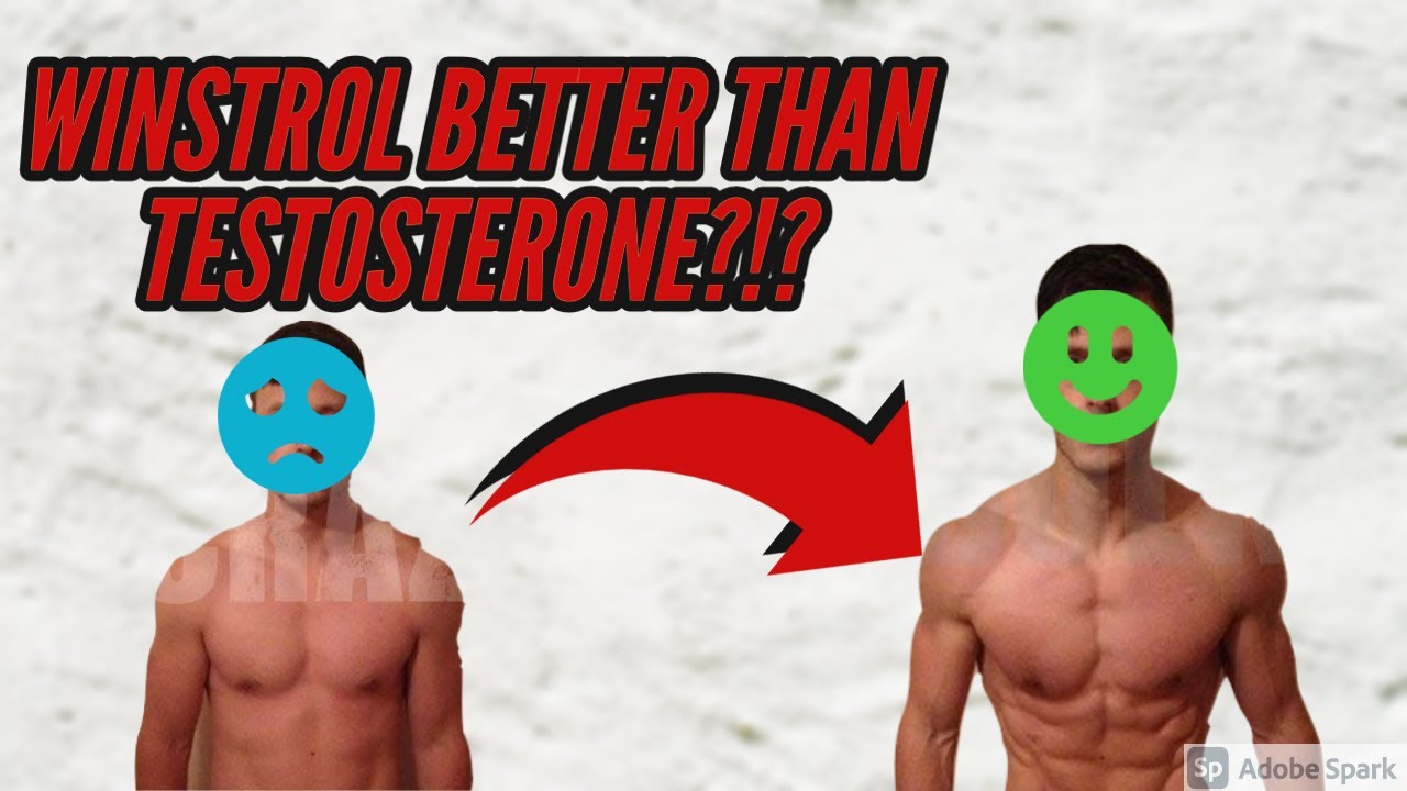 Winstrol BETTER than Testosterone? | Doctor's Analysis - YouTube