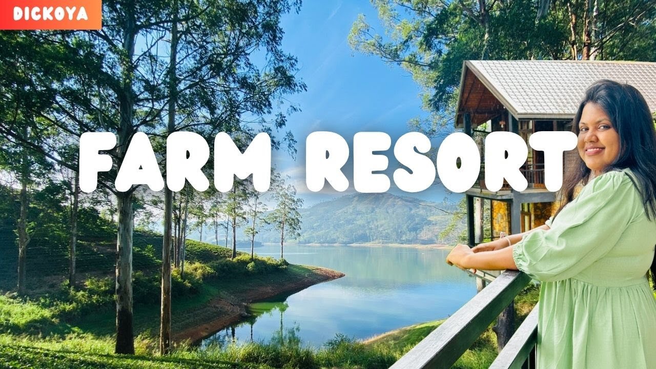 The Farm Resort Dickoya | Hatton Sri Lanka | Castlereigh Reservoir 🏝️ 🏄 ...