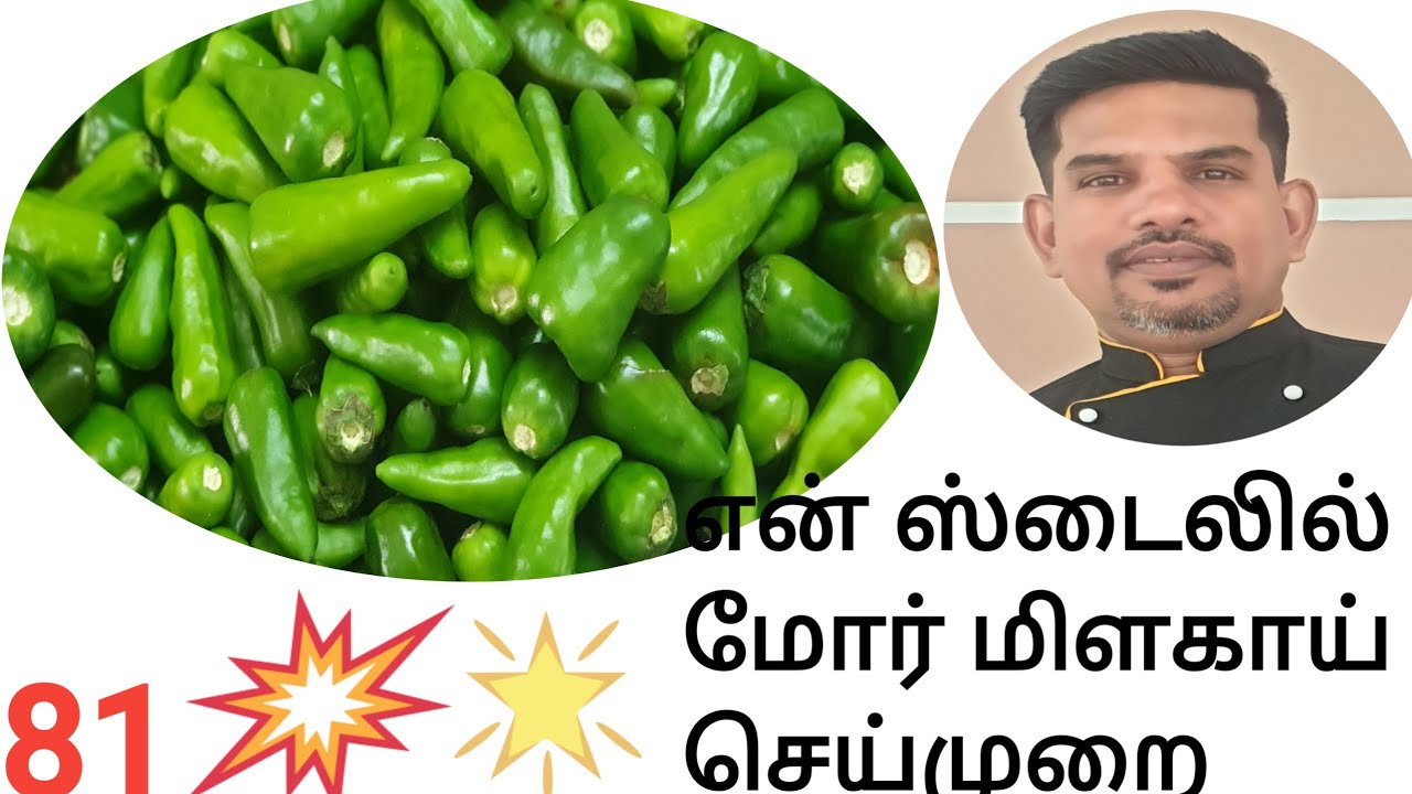 CURD CHILLI RECIPPE IN TAMIL HOW TO MAKE CURD curd-chilli-recippe-in-tamil-how-to-make-curd