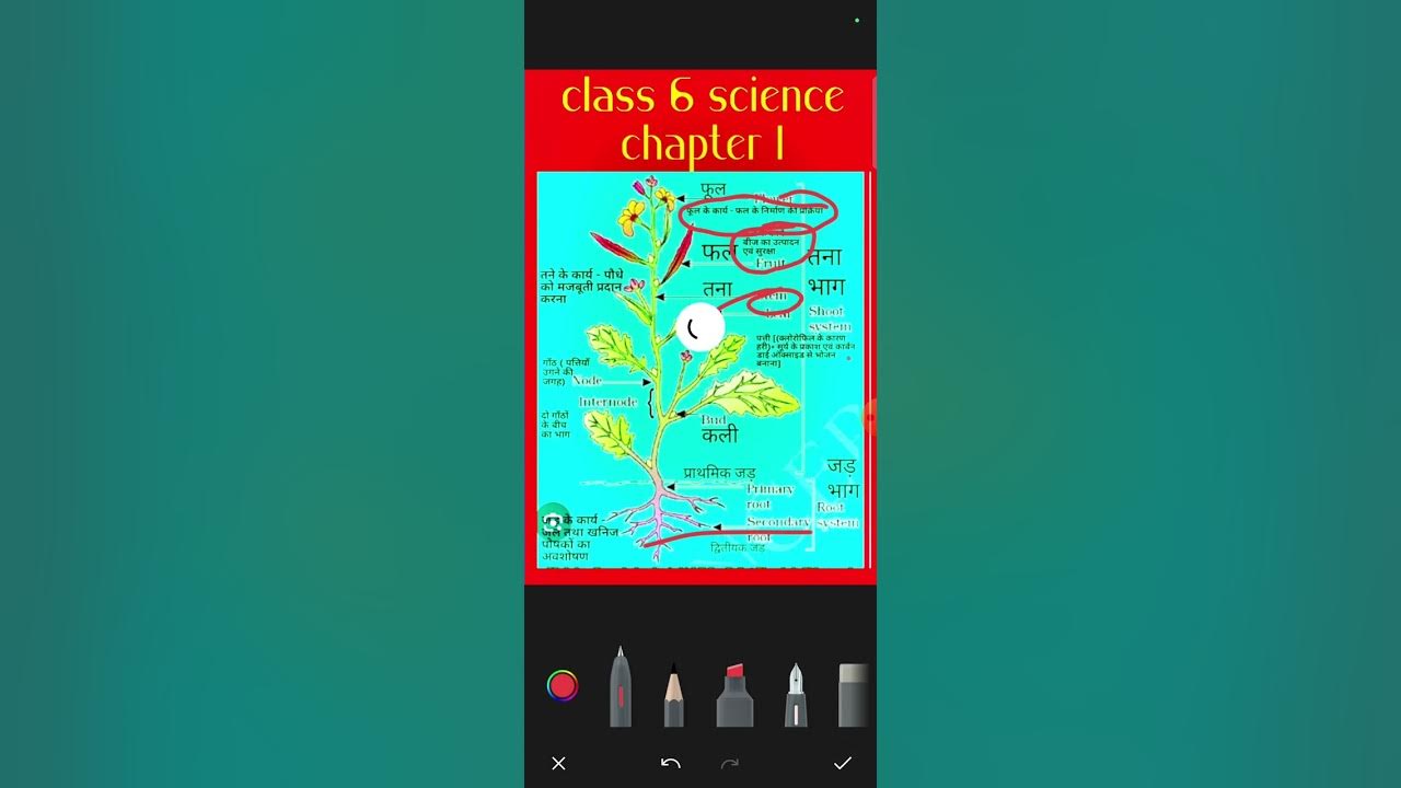 science study pointer class 6 science chapter 1 - YouTube
