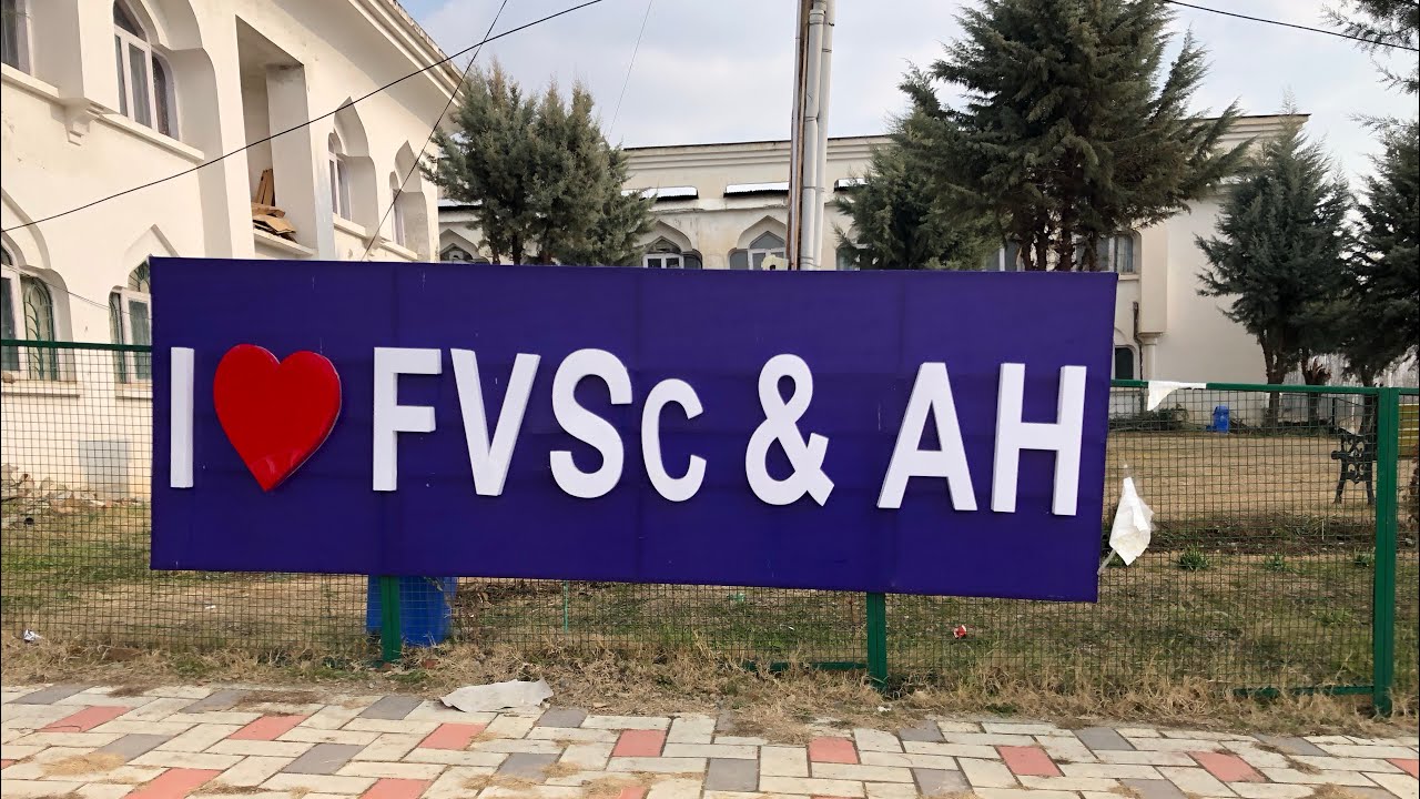 FVSc & AH SKUAST-K Shuhama || VISIT SKUAST-k SHUHAMA ALUSTENG | Faculty ...