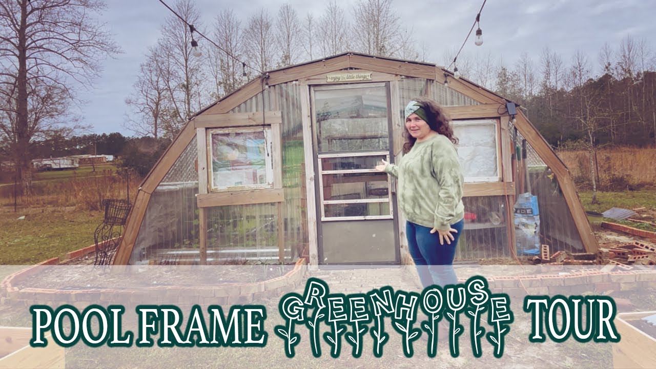 My First FULL Greenhouse Tour | Recycled Pool Frame Greenhouse | Grow ...