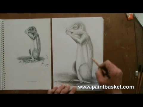 how to draw step by step - animal fur and hair in pencil drawing - YouTube
