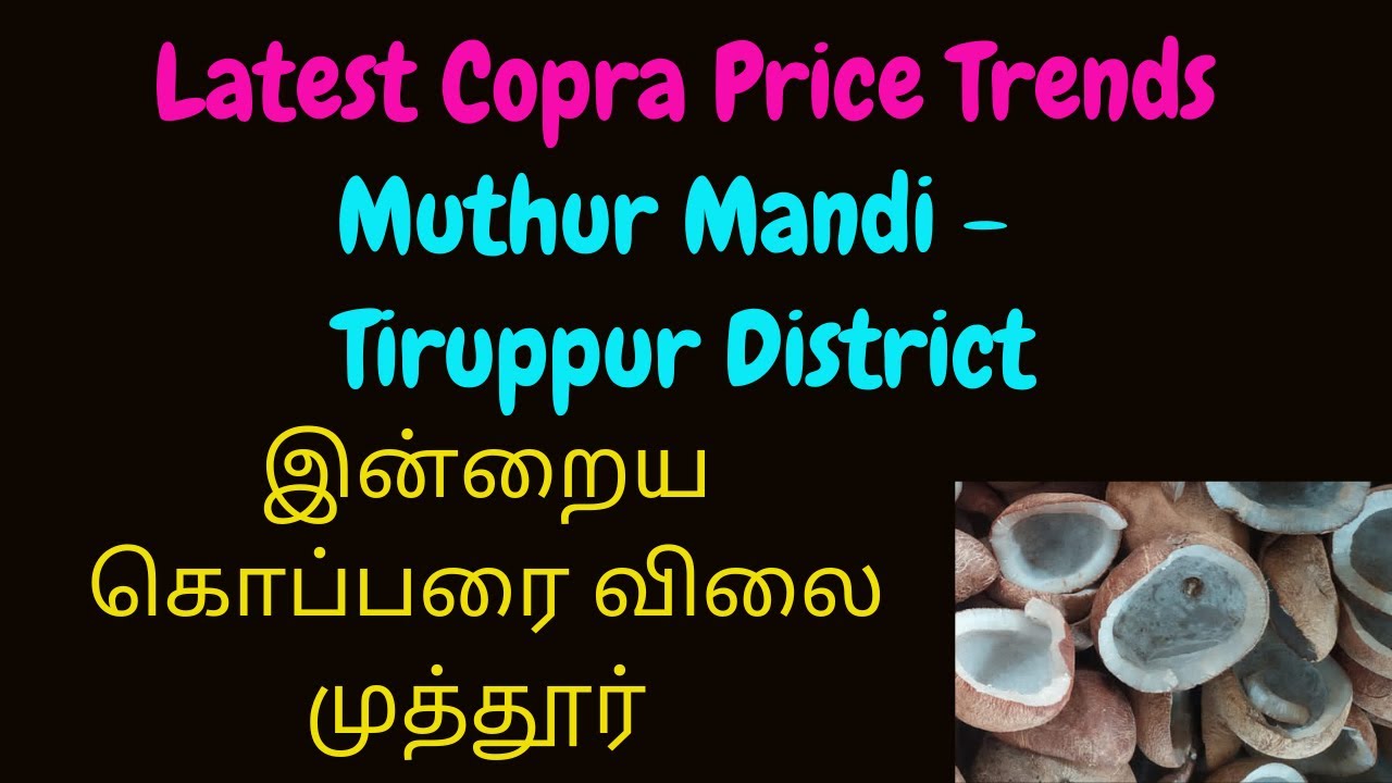 முத்தூர் தேங்காய் பருப்பு கொள்முதல் விலை | Latest Copra Price Trends ...