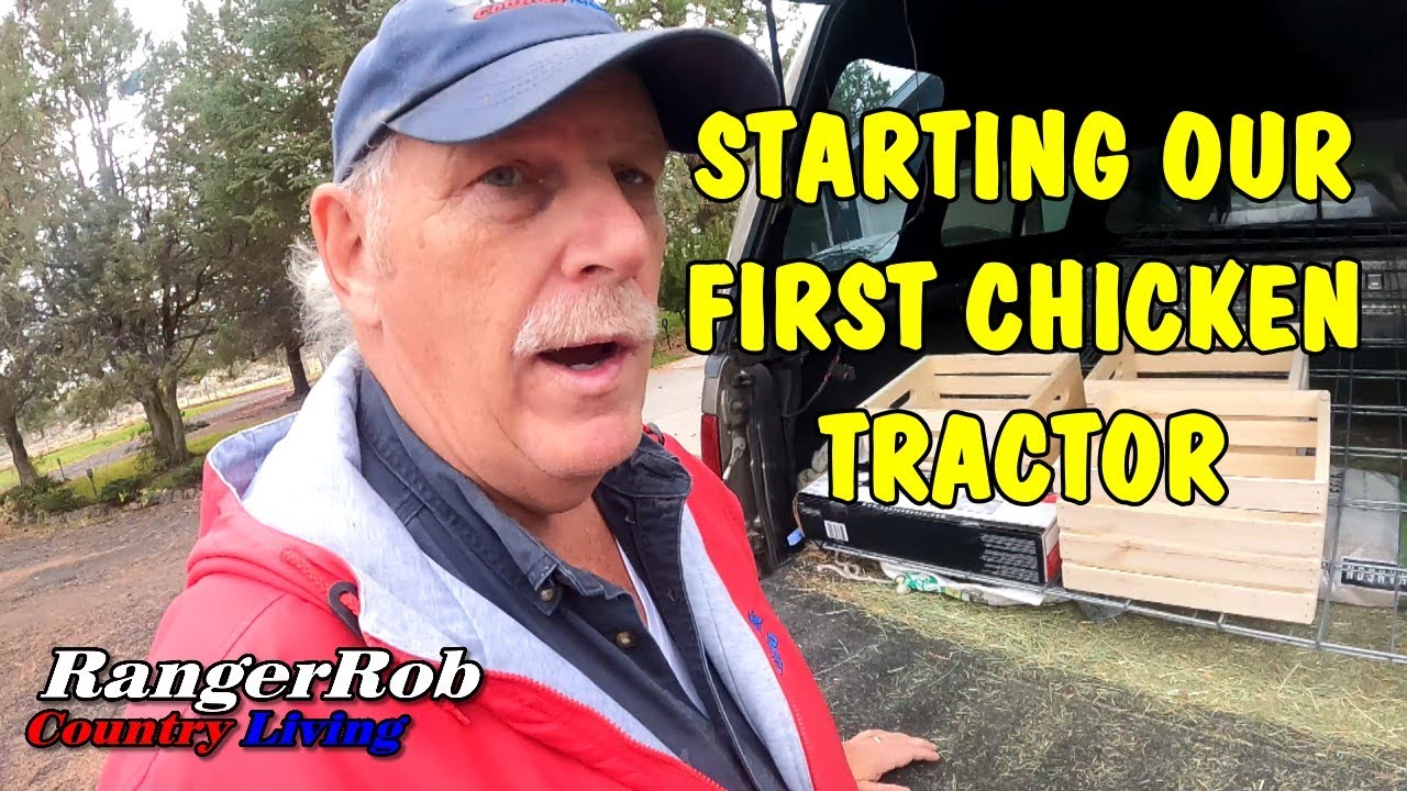 Starting Our First Mobile Chicken Tractor On The Homestead - YouTube