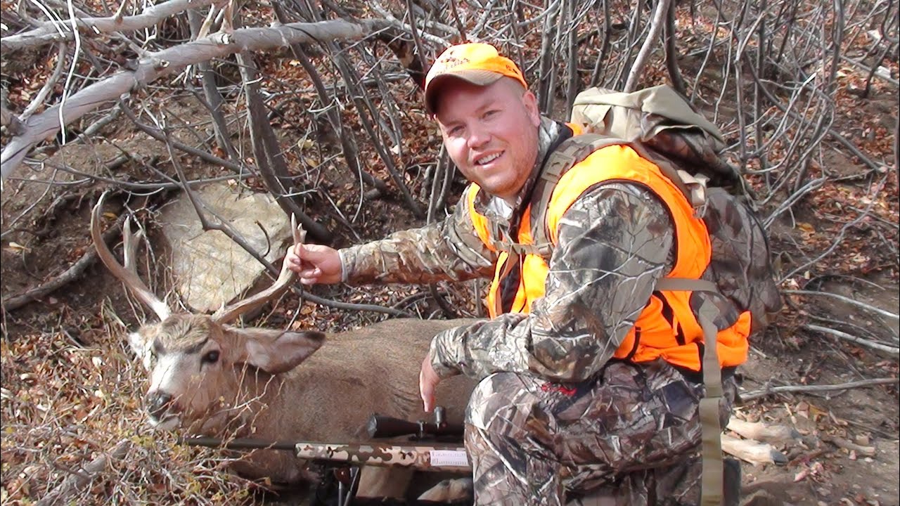 609 Yard Kill- Long Range Deer Hunt 2012 - YouTube