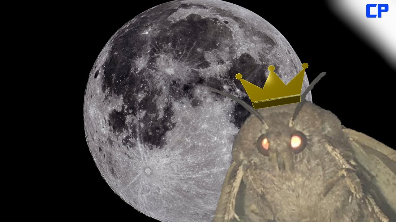 That Time The Moth King Interrupted Us While We Had Technical ...