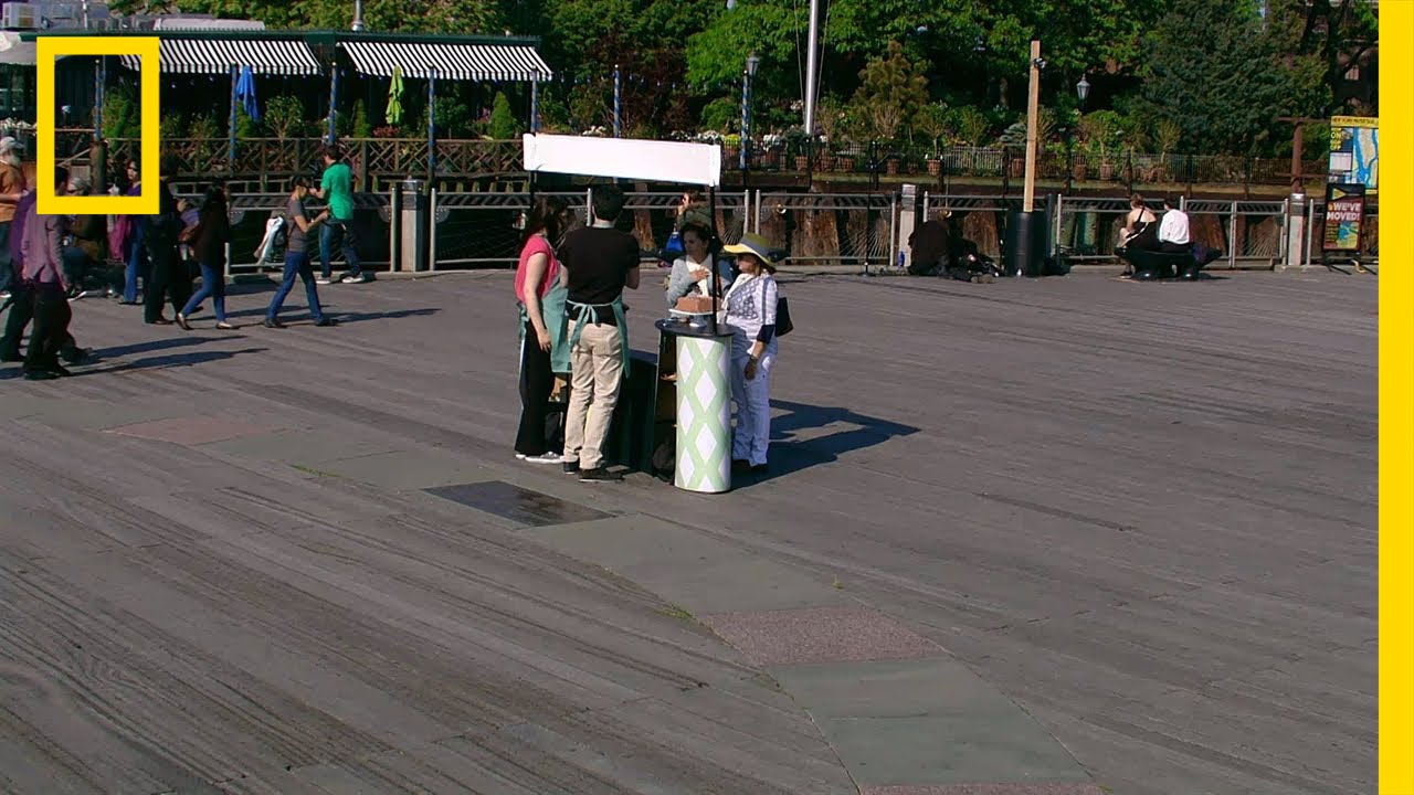 Cakes of Deception | Brain Games - YouTube