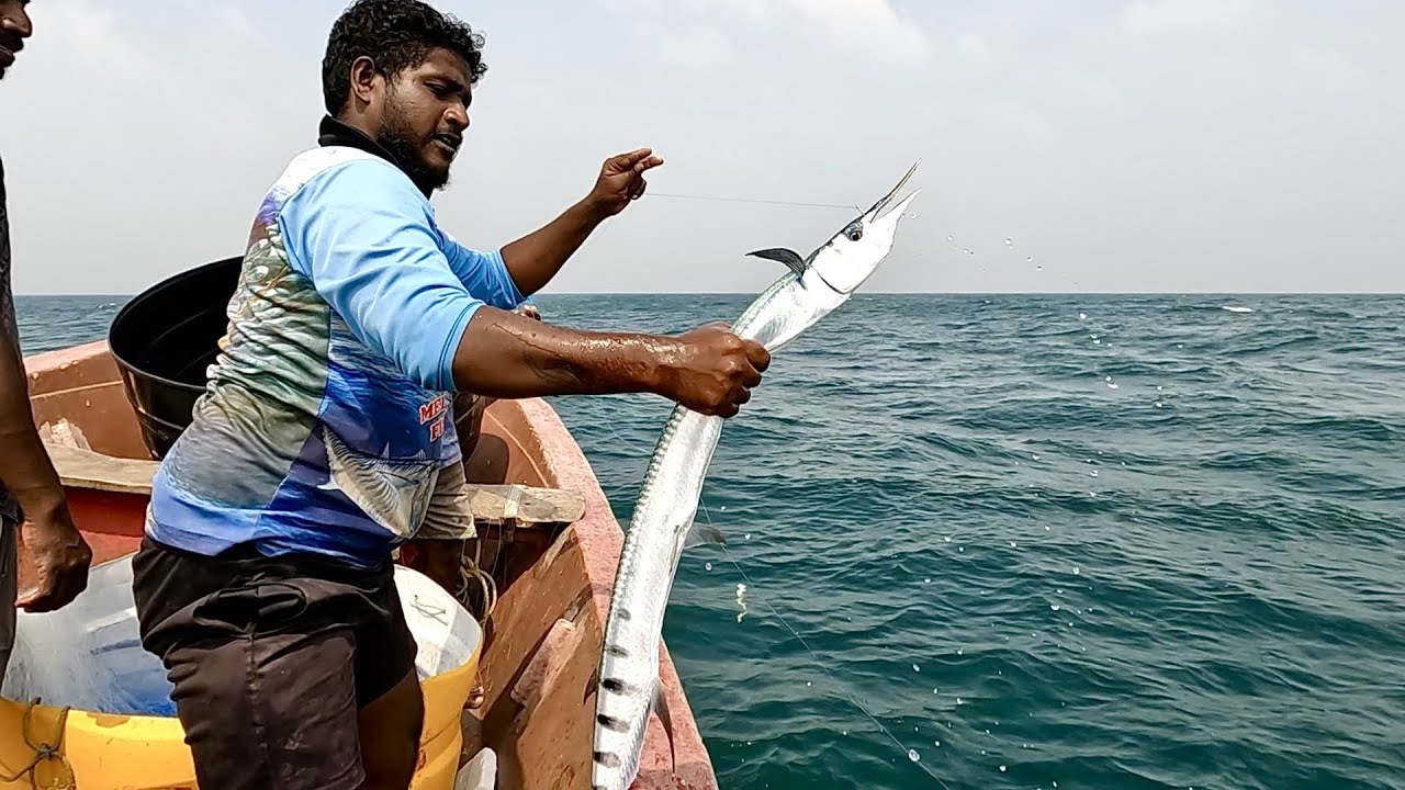Back to Back Needle Fish Caught in the Sea - YouTube