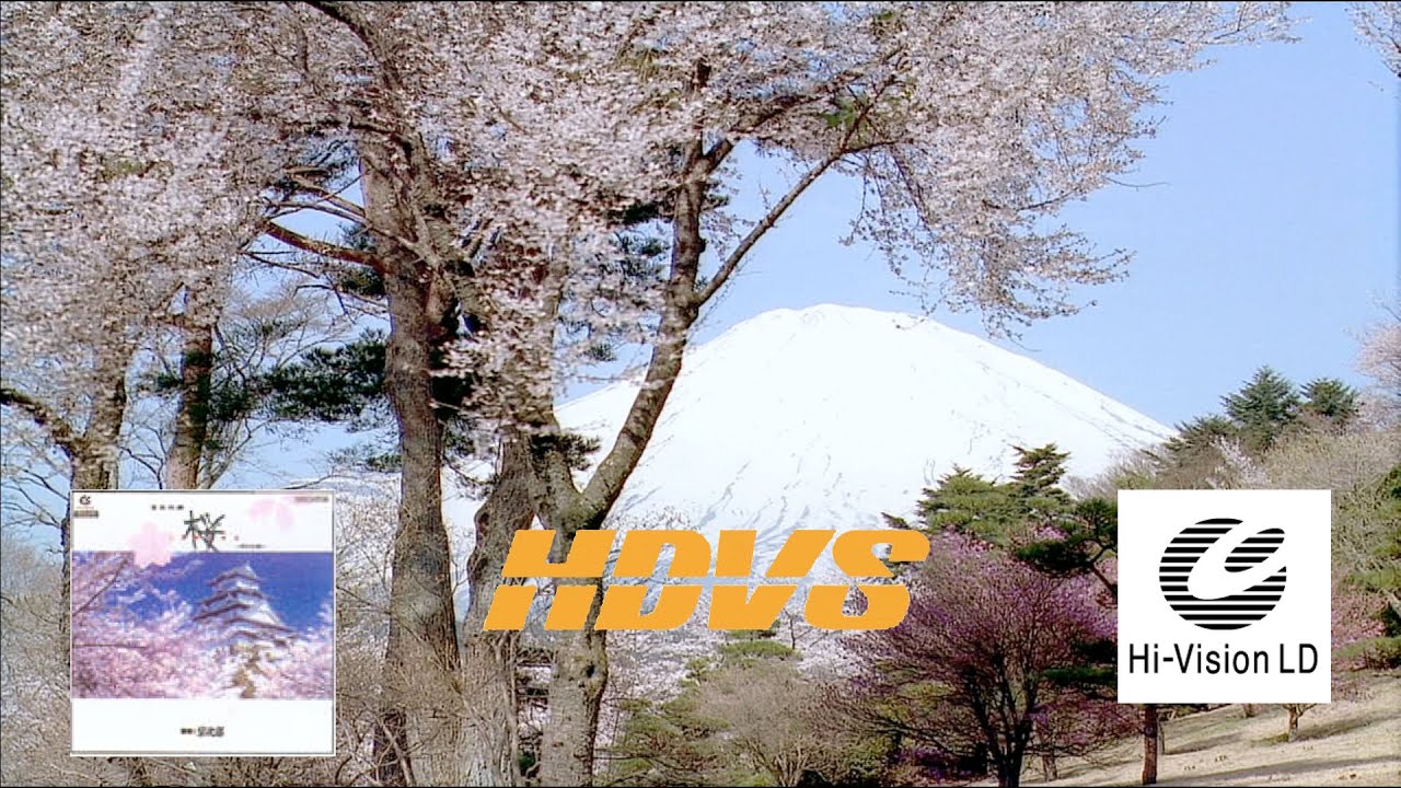 Cherry Blossoms - MUSE Hi-Vision Laserdisc - YouTube