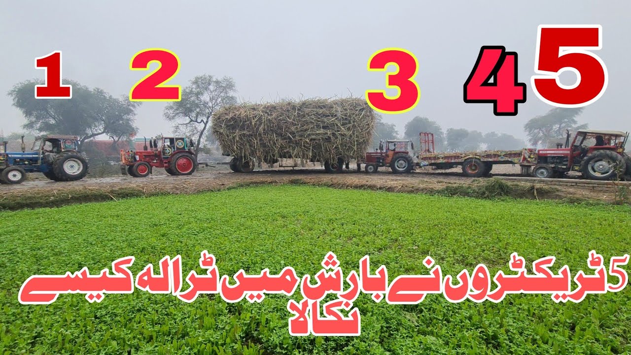 Most Beautiful Tractor Trailer Pulling Video || Funny Video - YouTube