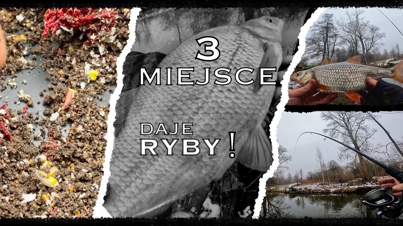 Chodzony Feeder - Lokalizacja Ryb Zimą - YouTube