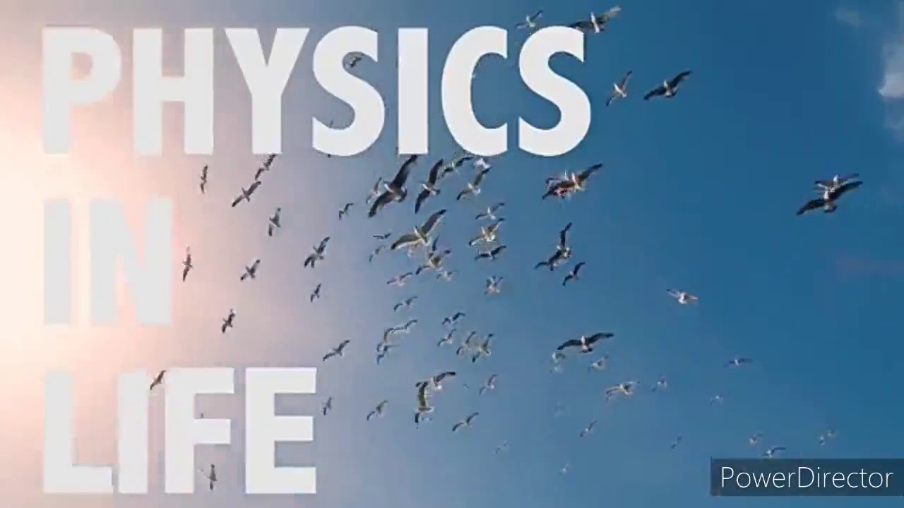 Amazing Physics in Real life - YouTube