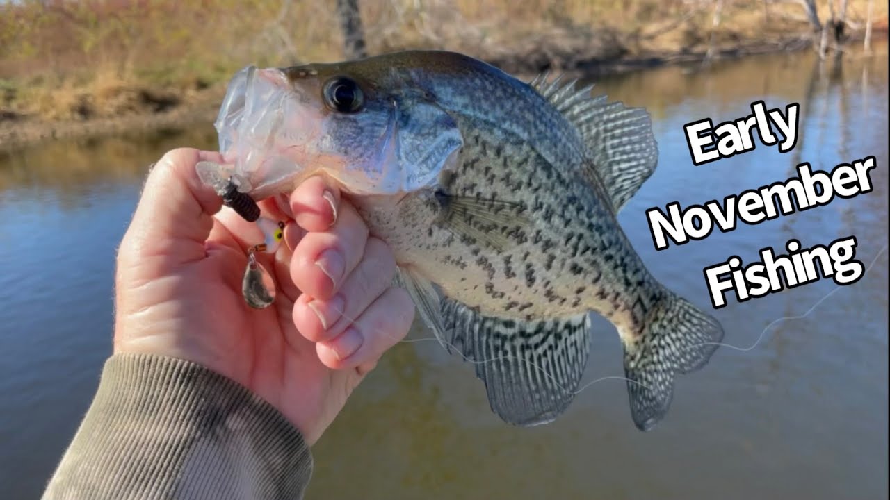 Early November Fishing - YouTube