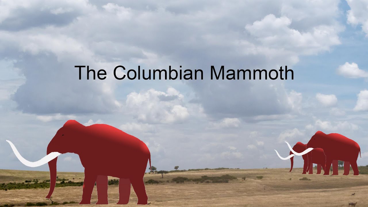 Columbian Mammoth - YouTube