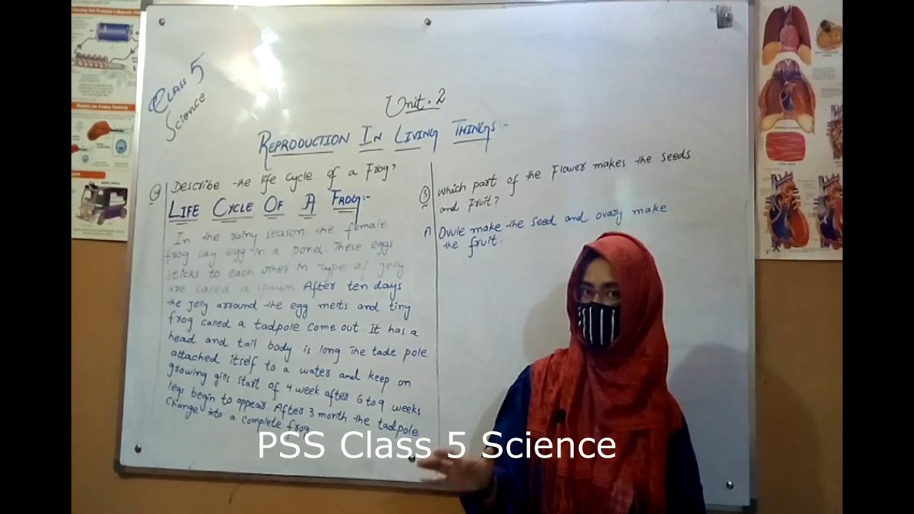 Reproduction of living things grade 2 science - YouTube