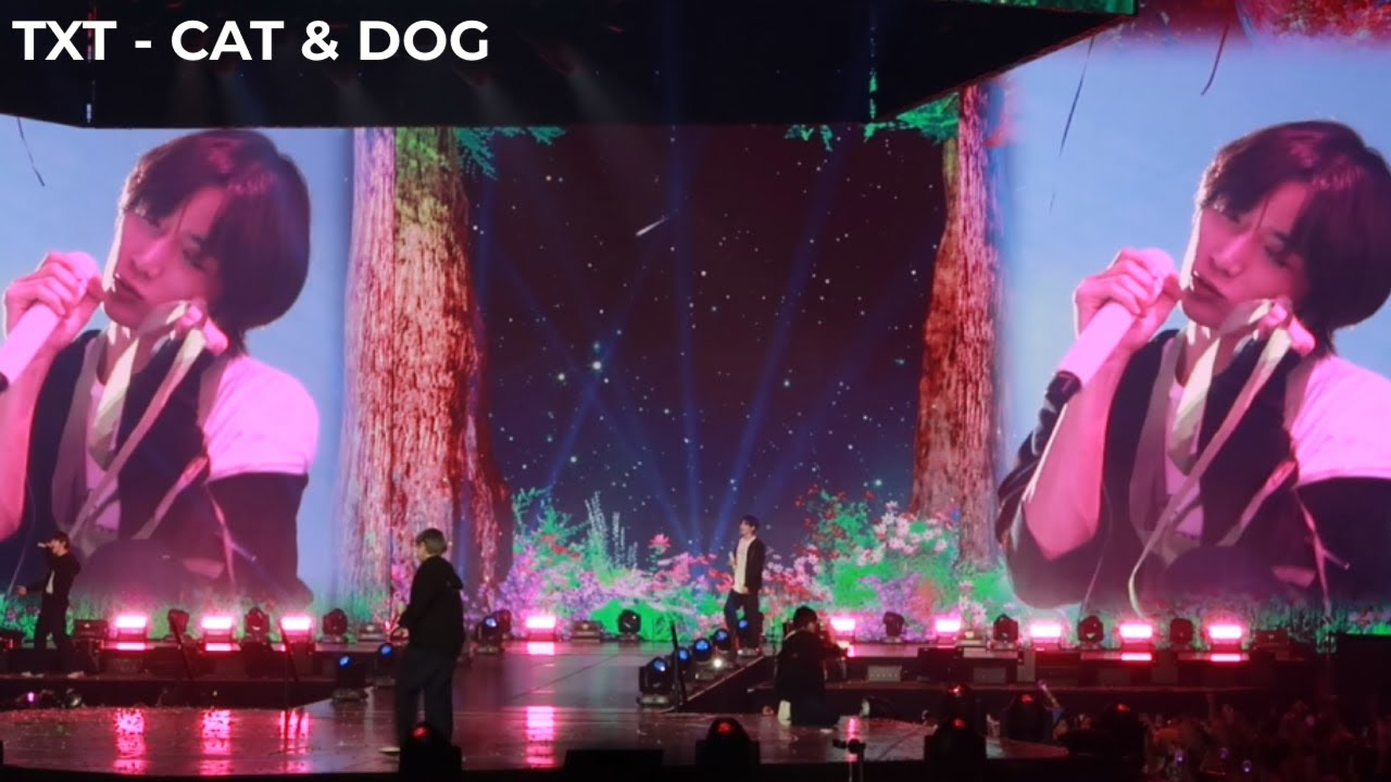 TXT ACT: PROMISE TOUR ENCORE | CAT & DOG | CHICAGO DAY 2 - YouTube