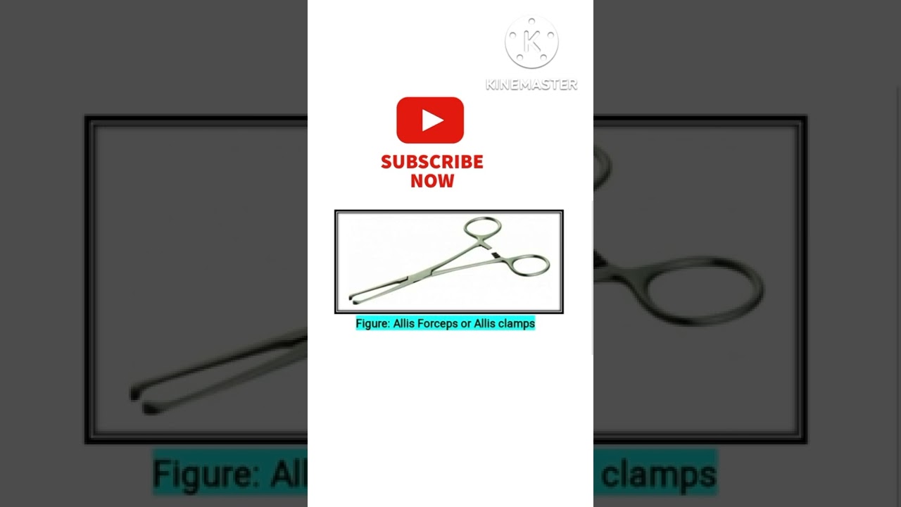 Allis tissue Forceps//Allis forceps//Allis clamp//Image based Questions ...