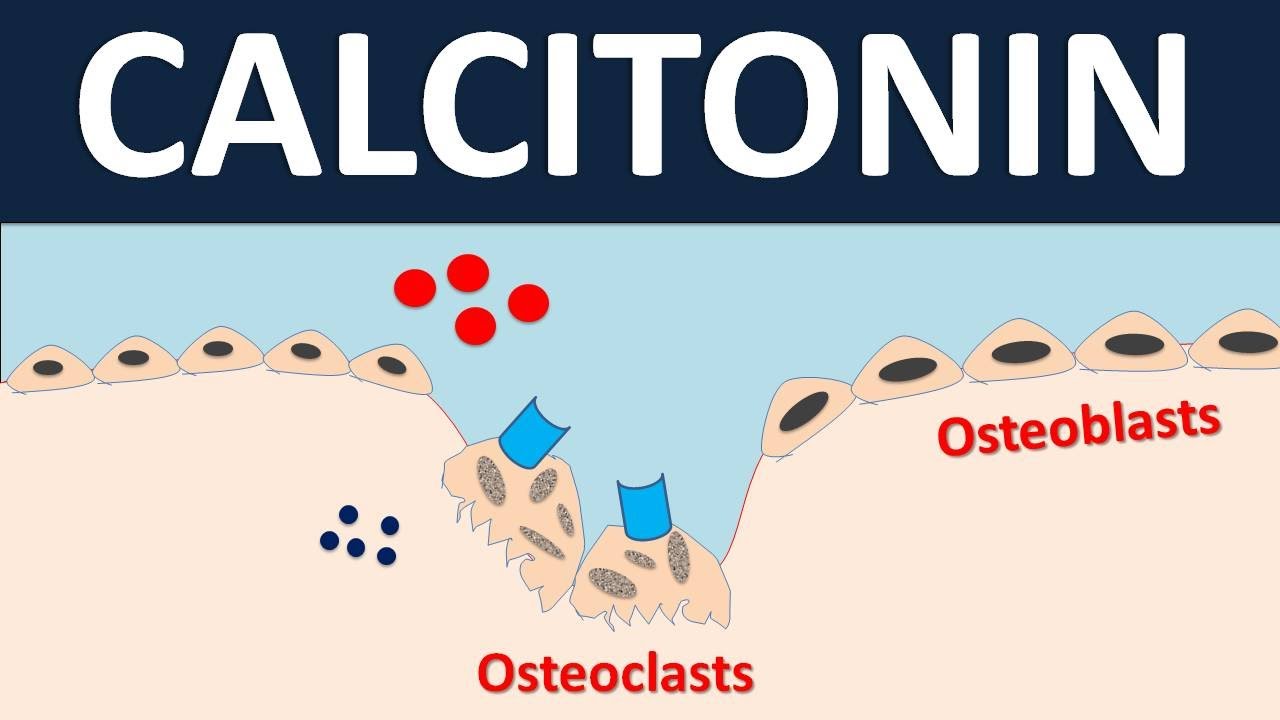 Calcitonin Drug