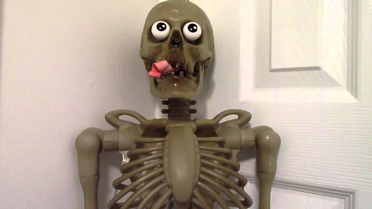 talking skeleton - YouTube