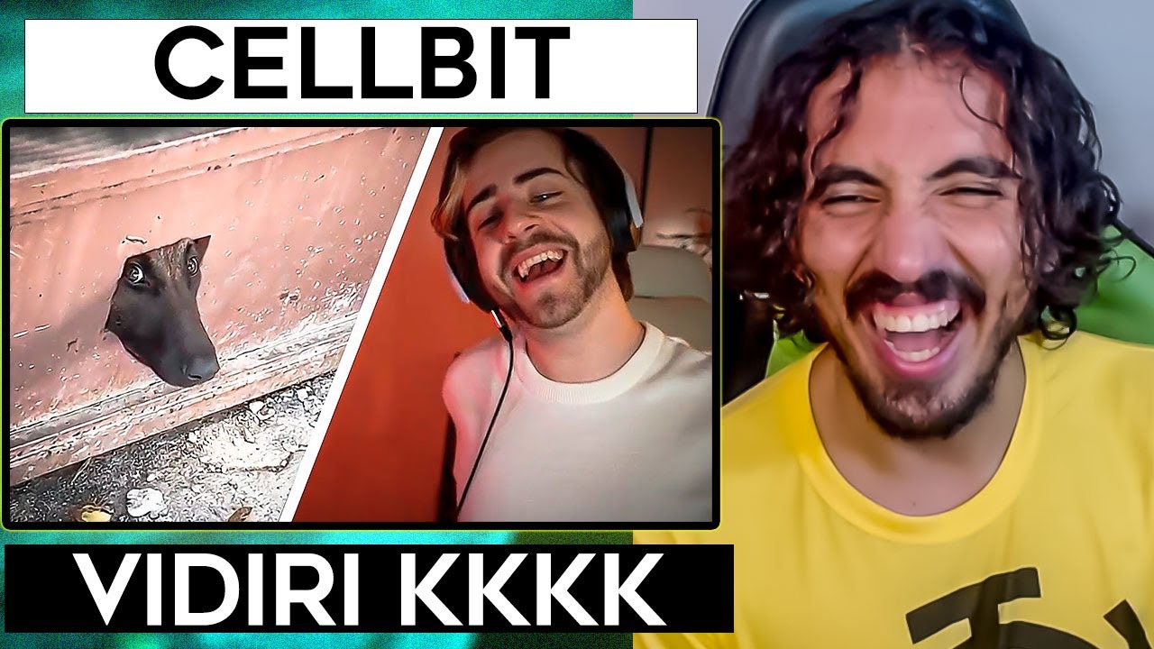 memes do reddit pra rir por mais de 20 minutos - Cellbit | Leozin React ...