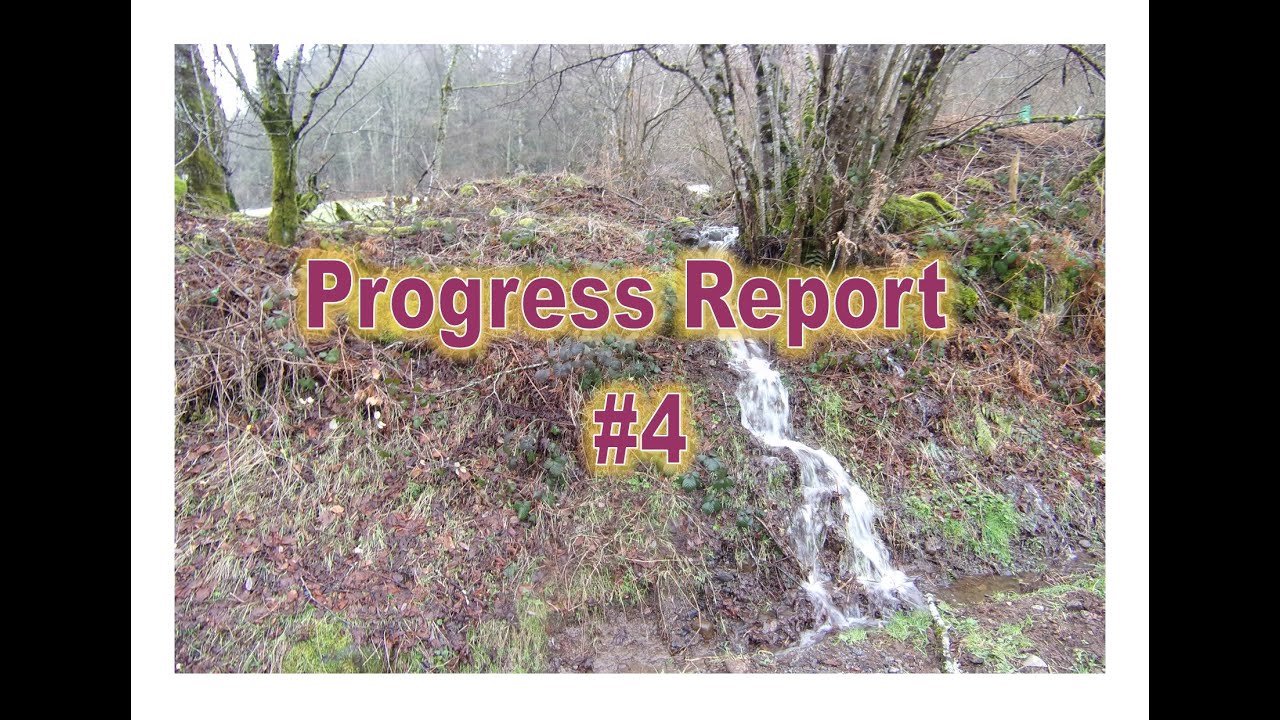 Progress Report #4 - YouTube