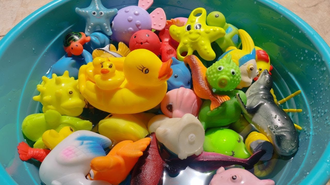 sea animals, sea creatures for kids, shark, Fish, Cute Pets, Sea Animal ...