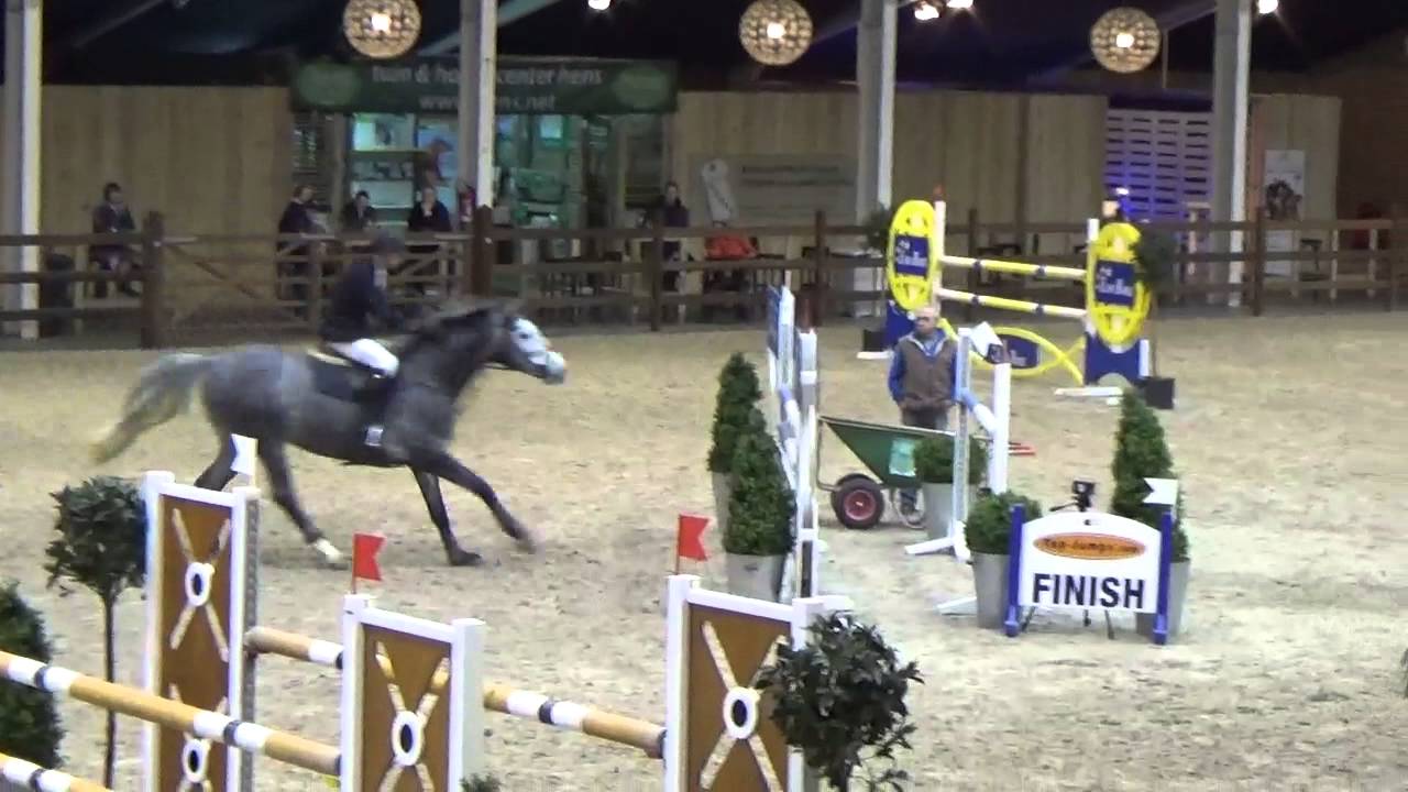 TO LATE SOLD : 2009 - Clinton I - stallion - YouTube