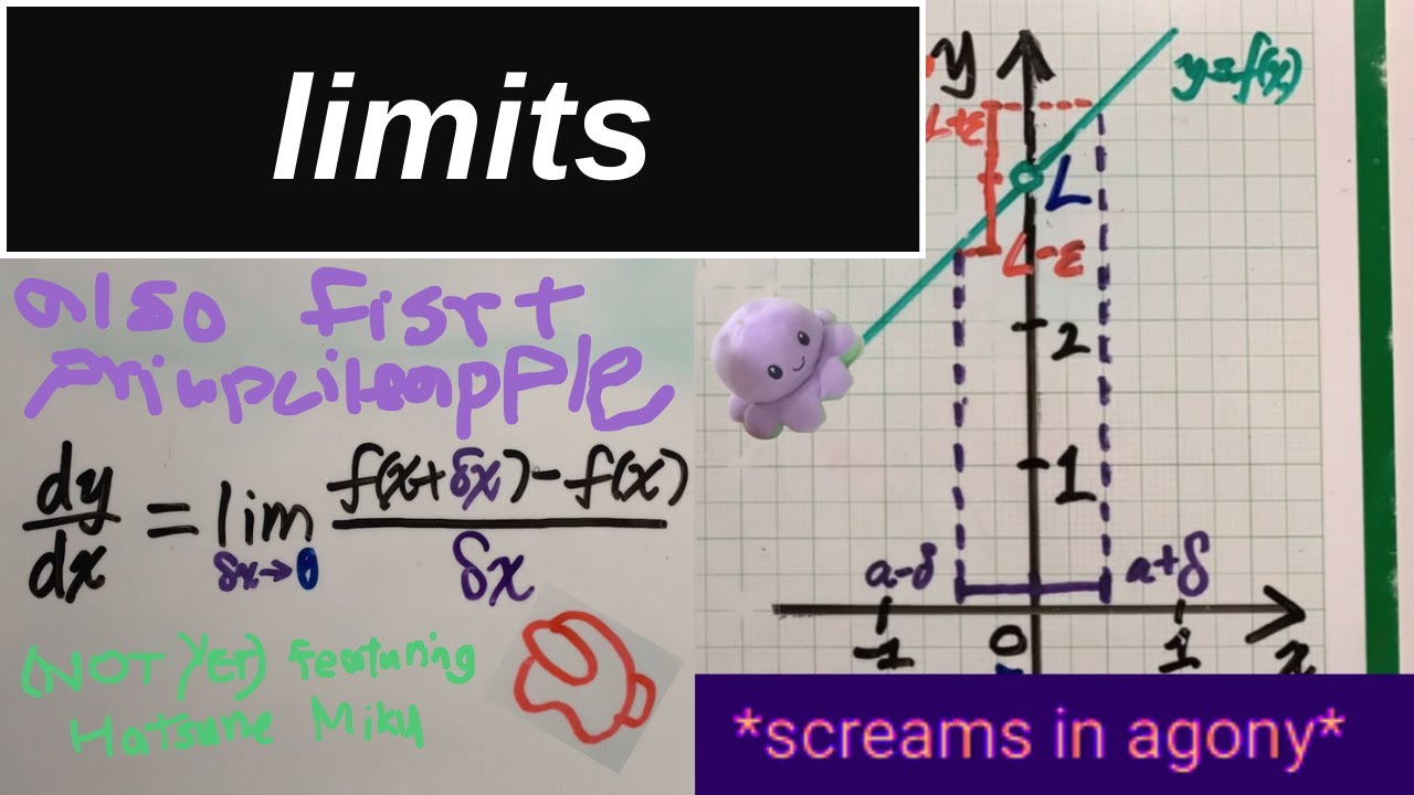 Limits (and The First Principle) || Differentiation (Part 2) - YouTube