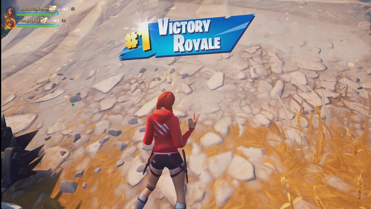 Fortnite Xbox Series S Gameplay 566 Dous Summer Fable Skin - YouTube