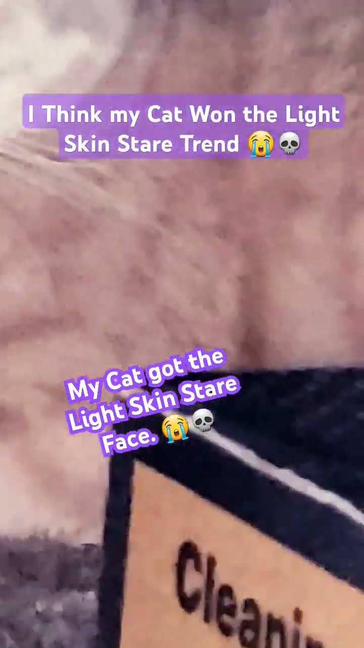 My Cat got the Light Skin Stare Face. 😭💀 | Light Skin Stare Trend Audio ...
