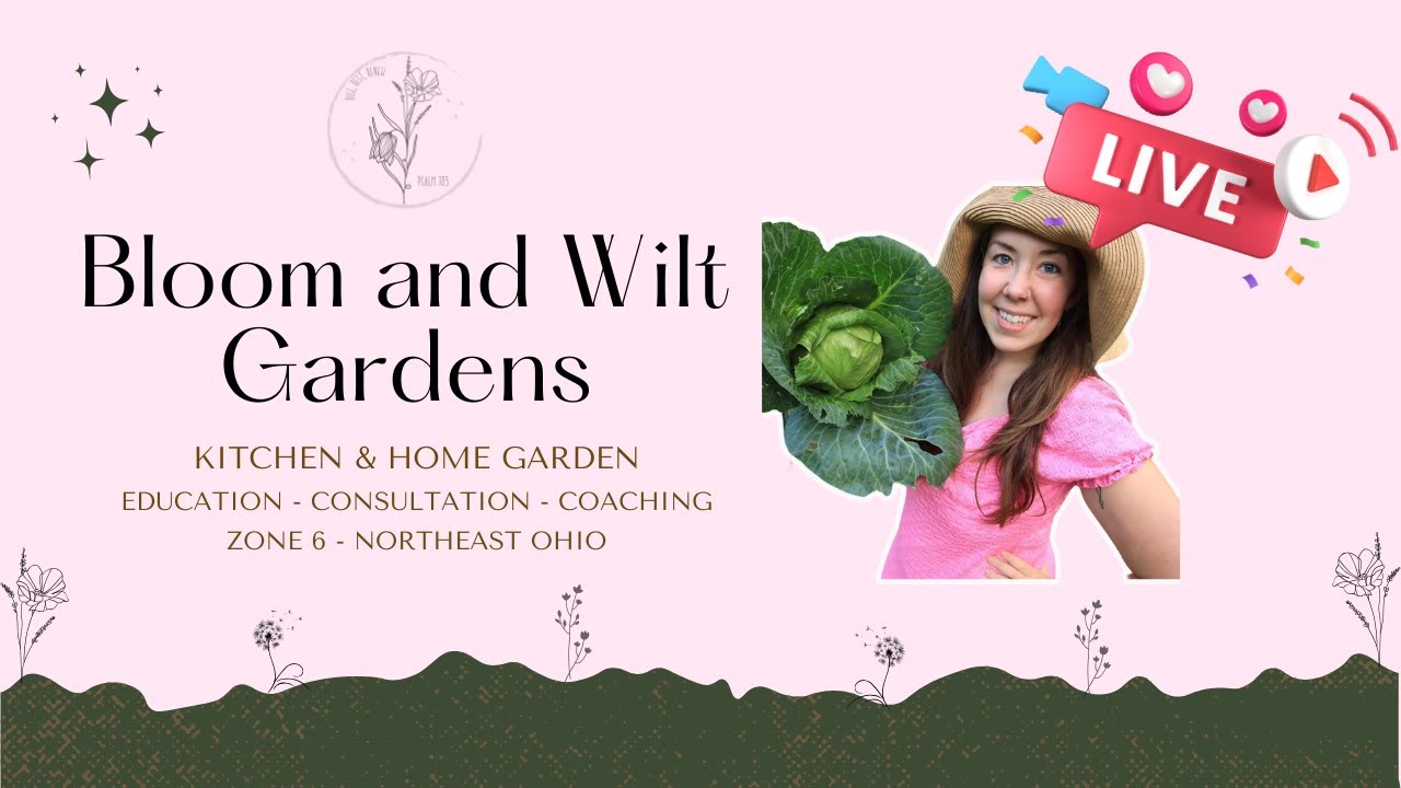 Live Garden Chat Q&A | Answering Your Gardening Questions - Zone6 ...