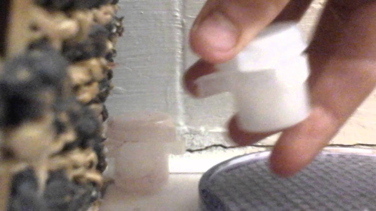 How to make REAL fairy dust! - YouTube