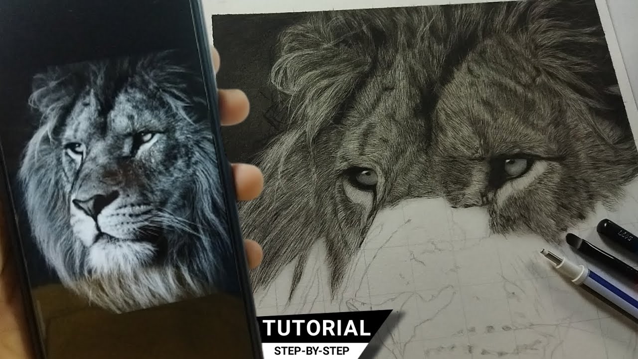 How to Draw Realistic Fur for Beginners - YouTube