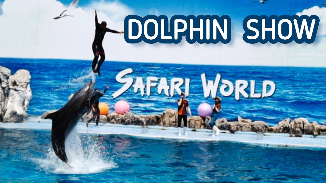 Safari World Bangkok Dolphin Show - Amazing Dolphin Show in Thailand ...