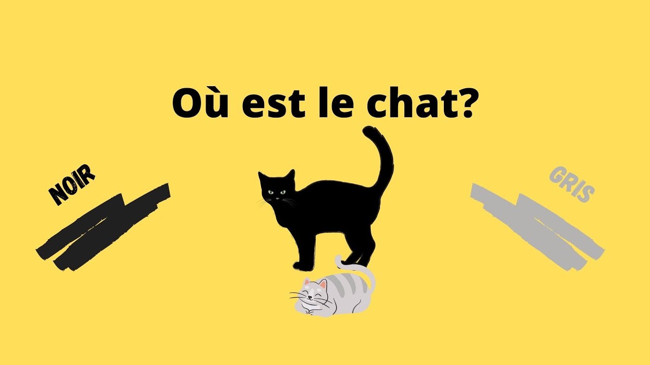 Où est le chat? (A1.1) French Prepositions Sur - Sous - Dans - Devant ...