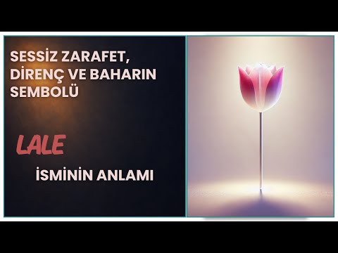 Lale isminin Anlamı | Sessiz Zarafet, Direnç ve Baharın Sembolü