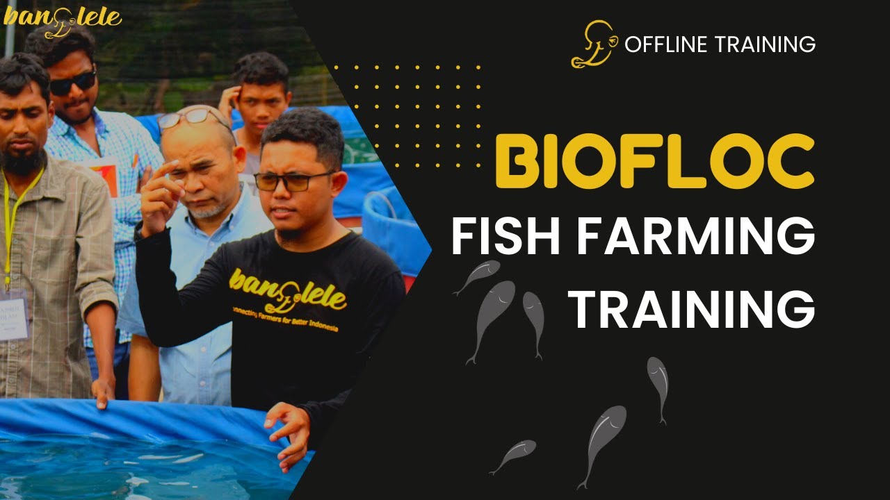 Training Freshwater Fish Farming with a Biofloc System in Pekanbaru ...