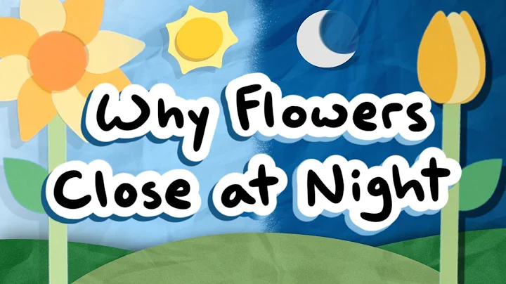 Do flowers close at night? (2025)