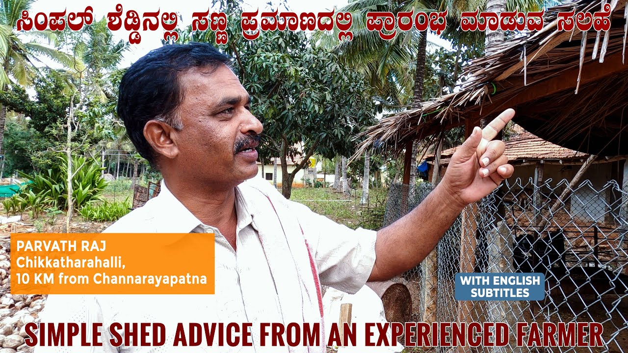 Low Cost SHED & Small SCALE in Goat & Sheep Farming is a must to ...