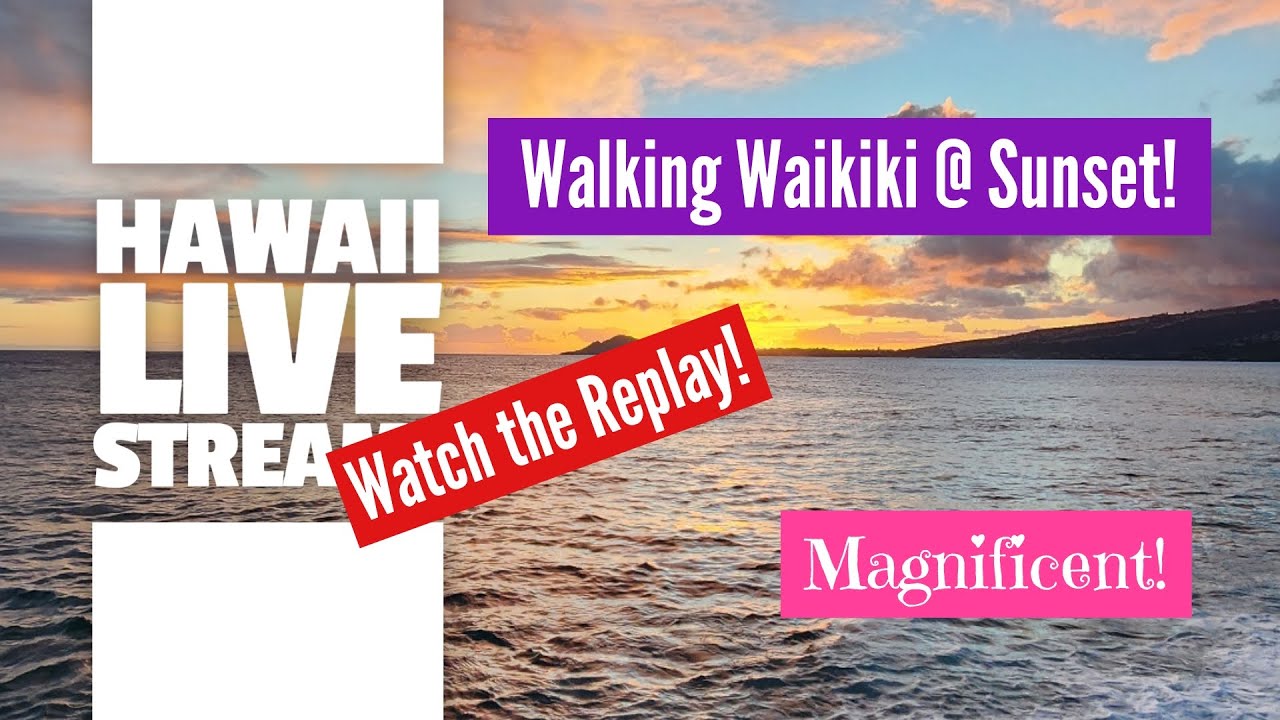 Hawaii Live Stream: Walking Waikiki at Sunset! #travel #hawaii #waikiki ...