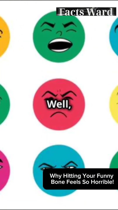 Why Hitting Your Funny Bone Feels So Horrible! #facts #funny #science # ...
