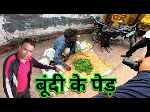 बूंदी के पेड़ 🌿🌱 bundi ka tree gundi ka ped gundi ka plant #gundi - YouTube
