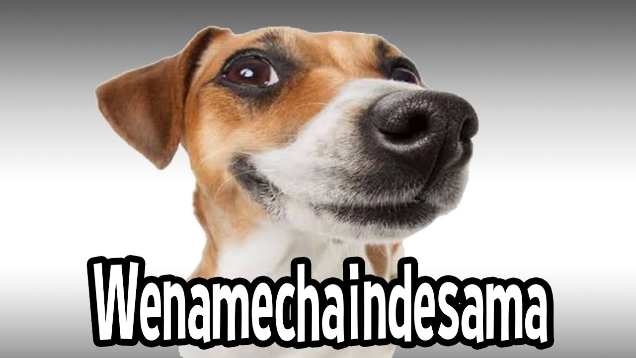 wenamechaindesama truco 🥵👌 - YouTube