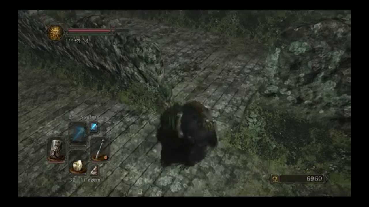 Dark Souls II - Shaded Woods: Unpetrify LCW: Lion Mage Robe, Cuffs ...