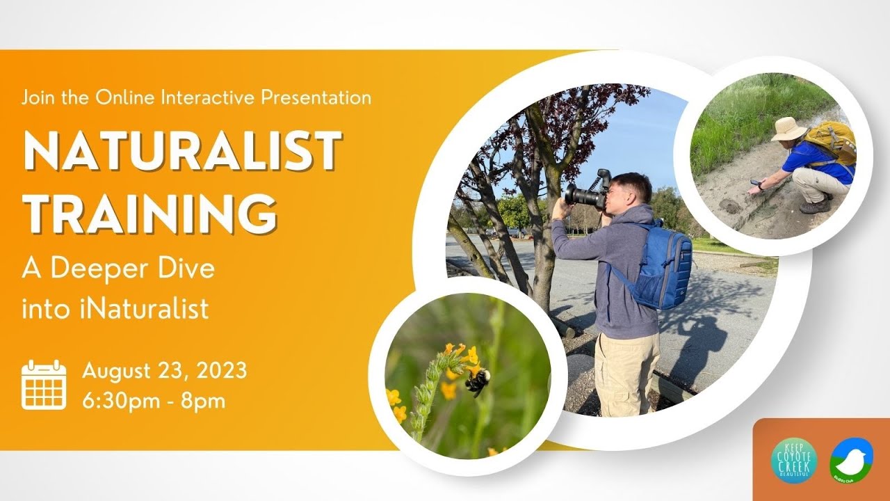 Naturalist Training - A Deeper Dive into iNaturalist - YouTube