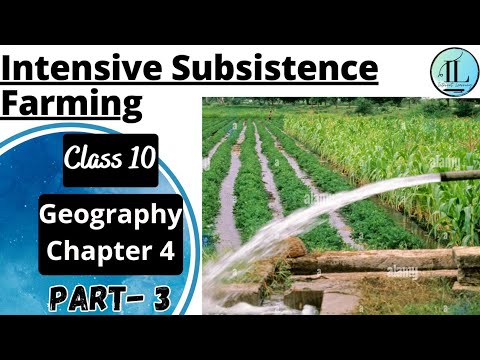 Intensive Subsistence Farming | Agriculture | Class 10 Geography ...