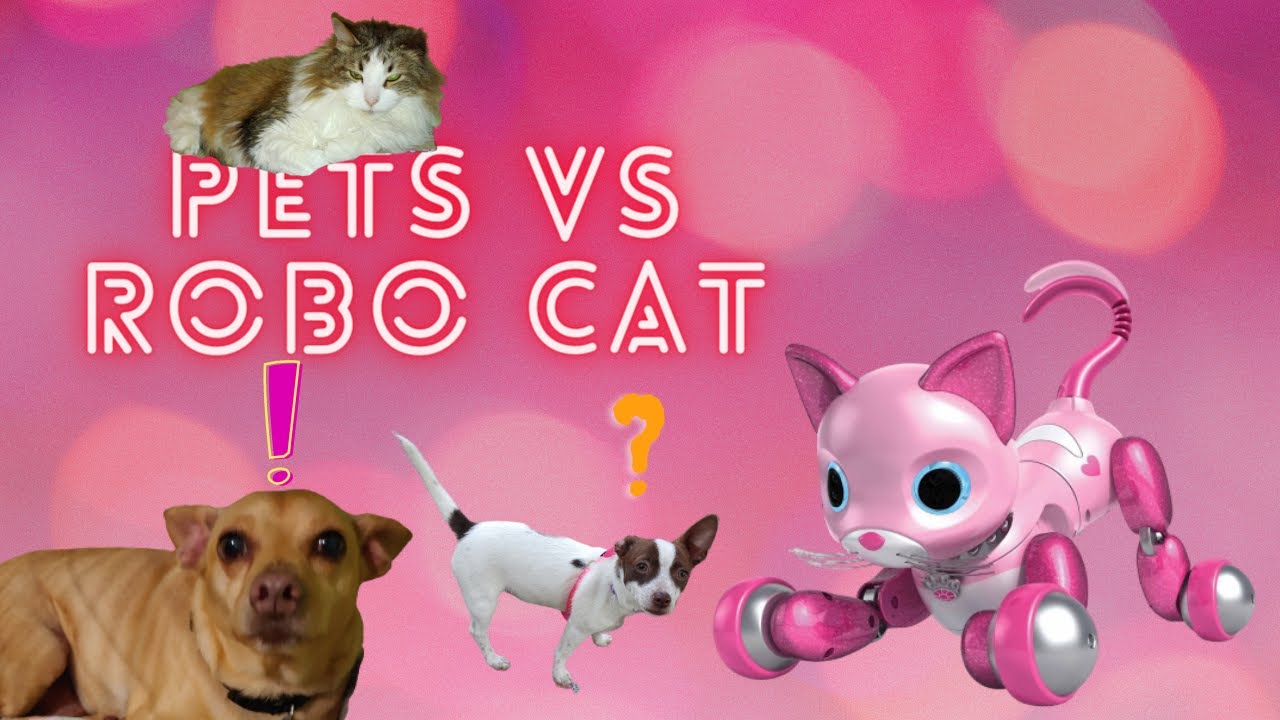 Cat and dogs vs pink robotic toy cat. - YouTube