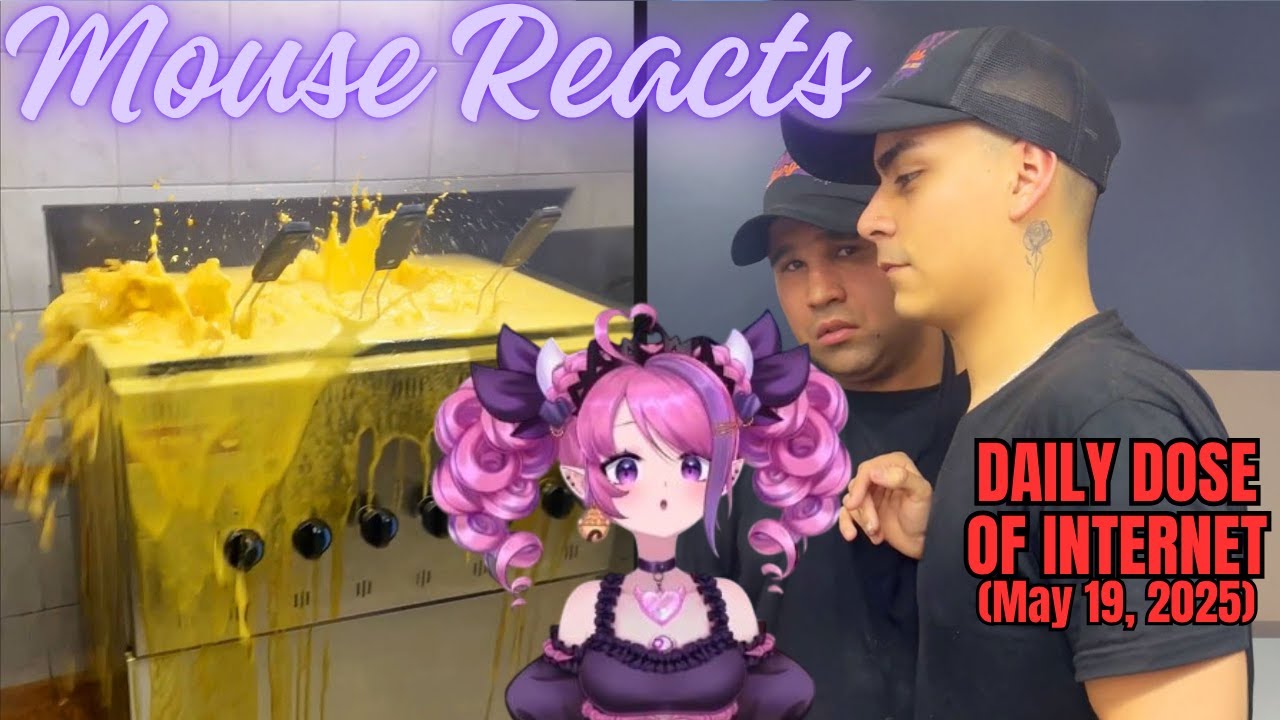Mouse Reacts to Daily Dose of Internet: They Knew They're Getting Fired ...